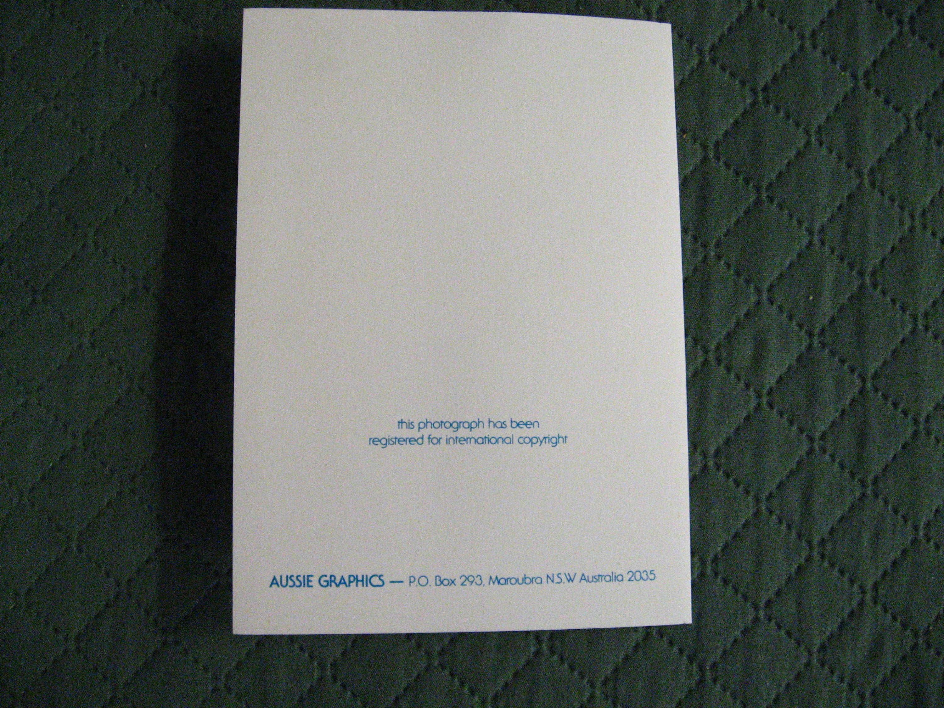 Aussie Graphics 1980's Gay Photo Greeting Card - Etsy