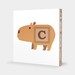 C is for Capybara : ABC Block Bamboo Wall Art Series // Alphabet Kids ...