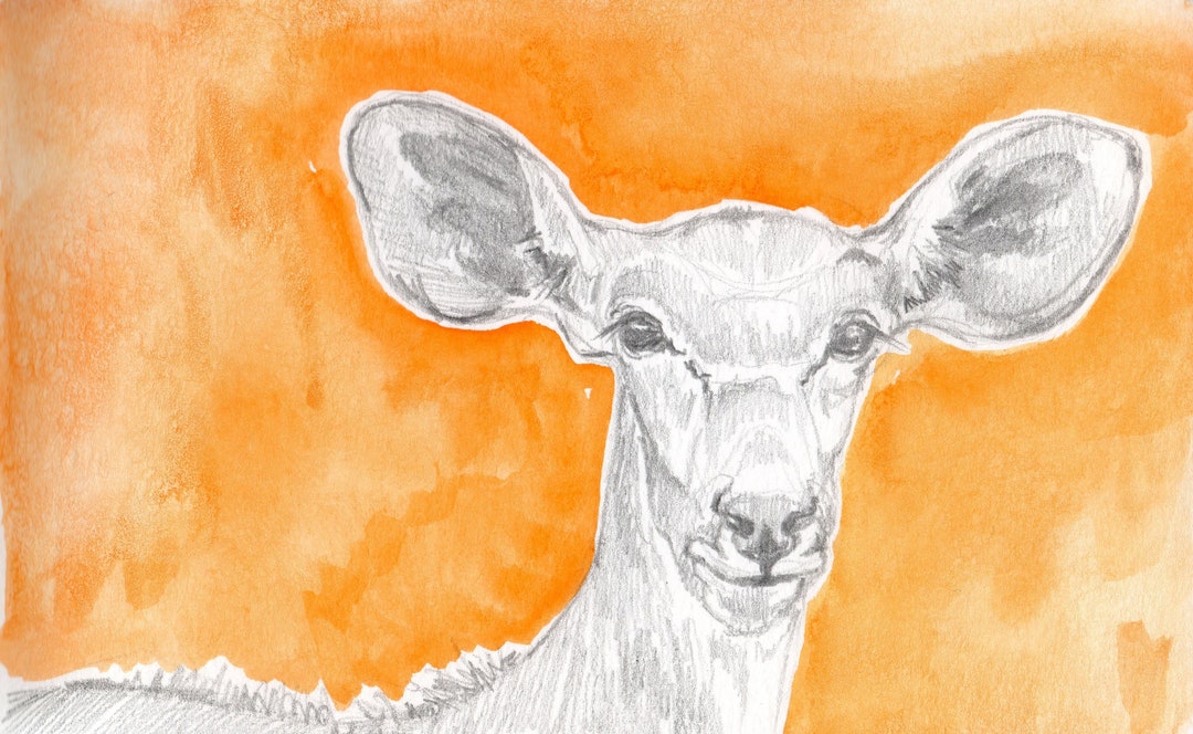 Kudu Drawing - Original Kudu Drawing - Etsy