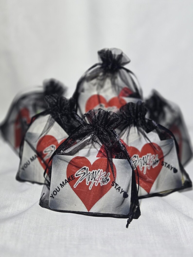 Stray Kids Concert Survival Kit – Dominate Tour Fan Bundle | Photocard ...