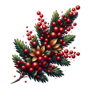 8 JPG Stunning Seasonal Christmas Decoration Clipart L Evergreen Xmas ...
