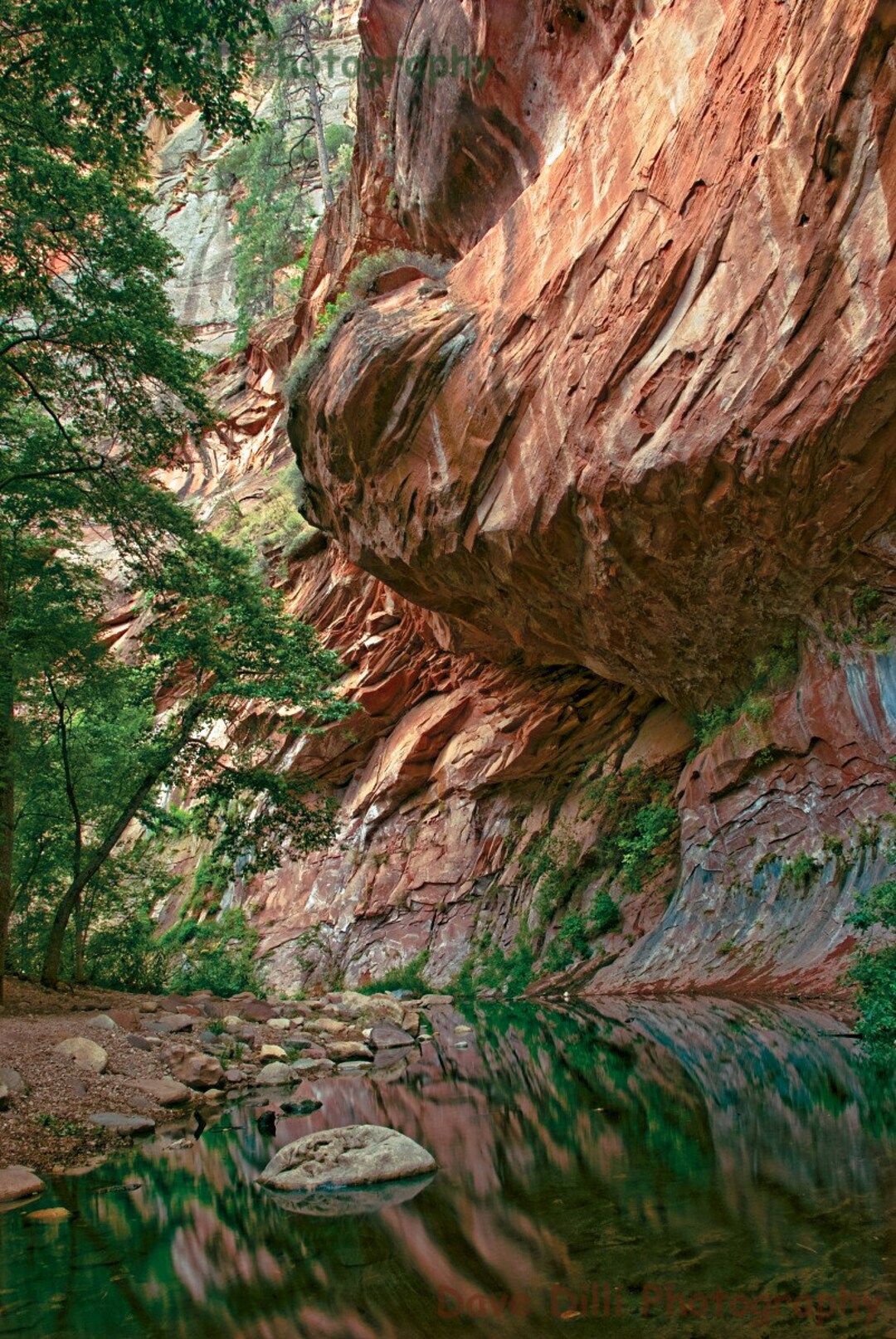 Oak Creek West Fork Overhang - Fine Art Photo Multiple Sizes - Etsy