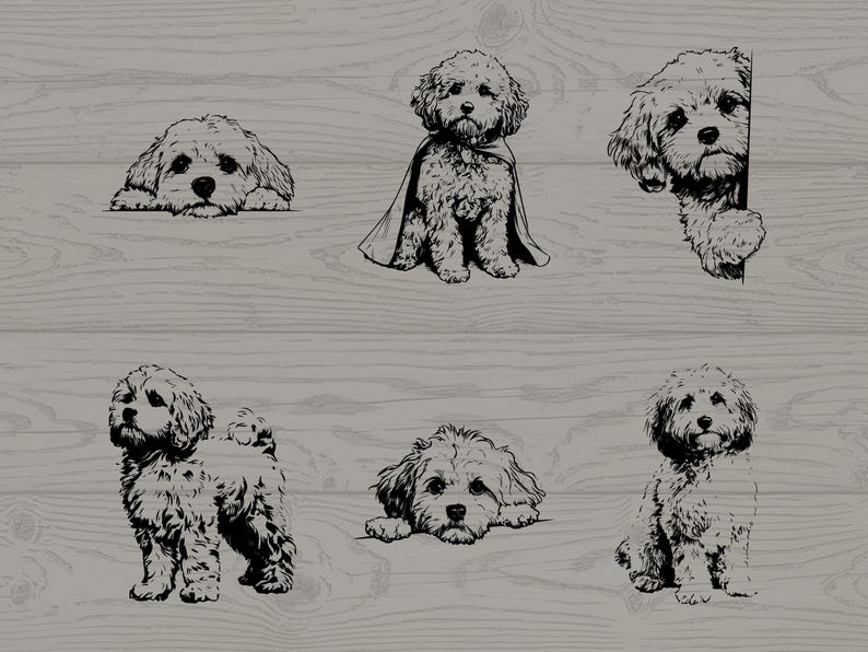 Cavapoo Silhouette SVG PNG Bundle, Puppy Clipart (digital Files) - Etsy