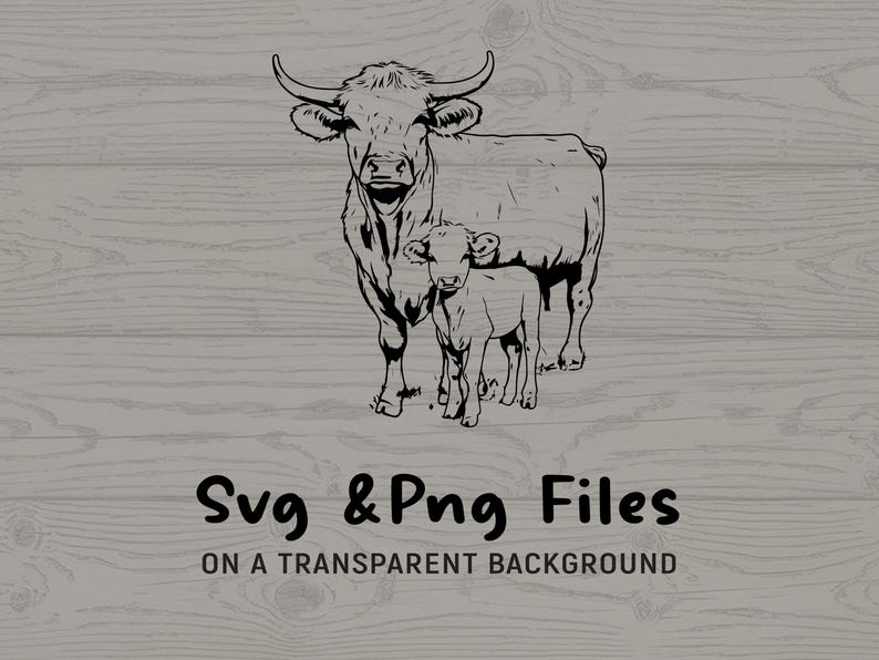 Angus Cow and Calf SVG PNG Bundle | Farm Animal Vector Graphics - Etsy