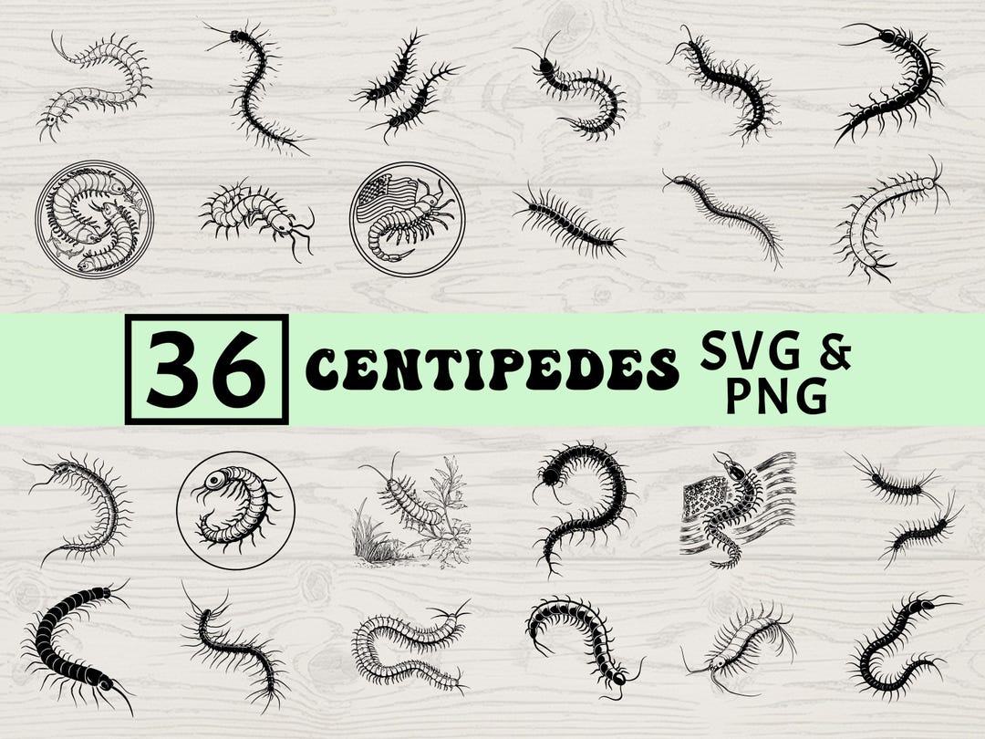Centipede Silhouette SVG PNG Bundle, Insect Clipart, Halloween Cut ...