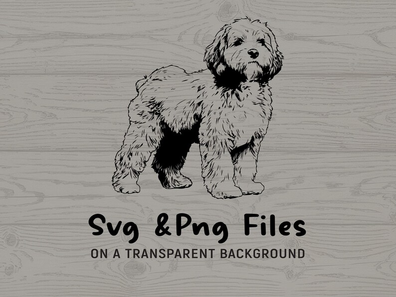 Cavapoo Silhouette SVG PNG Bundle, Puppy Clipart (digital Files) - Etsy