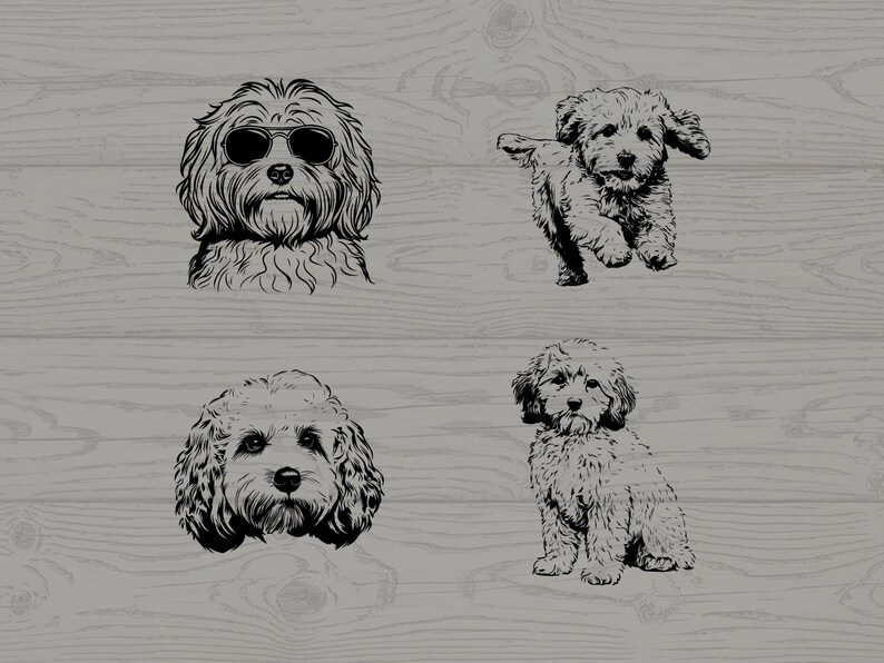 Cavapoo Silhouette SVG PNG Bundle, Puppy Clipart (digital Files) - Etsy