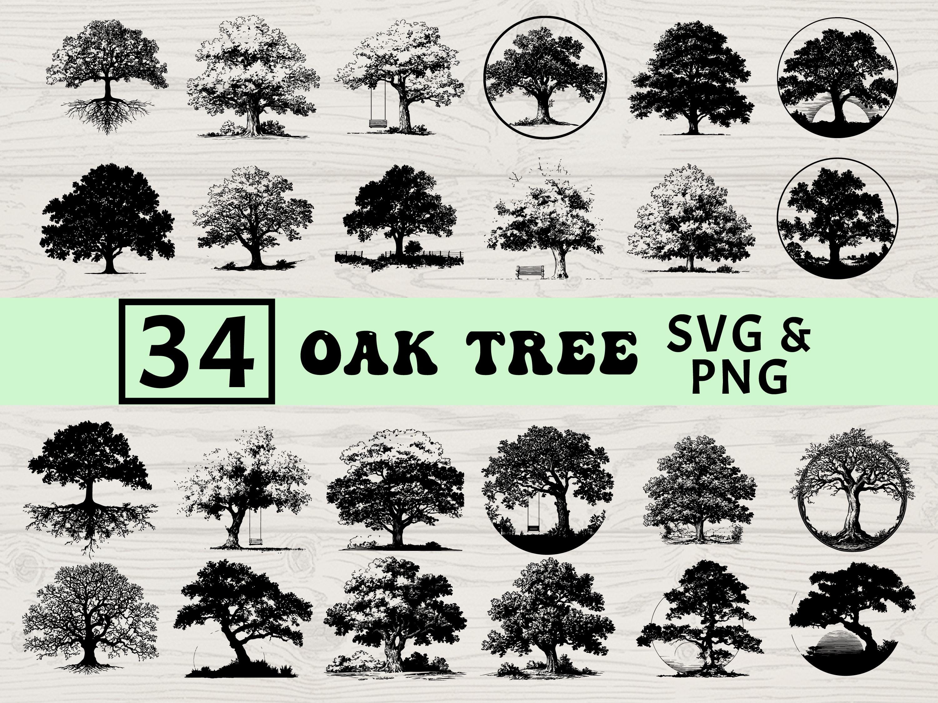 Oak Tree SVG PNG Bundle: Forest Silhouette Vector (digital Design) - Etsy