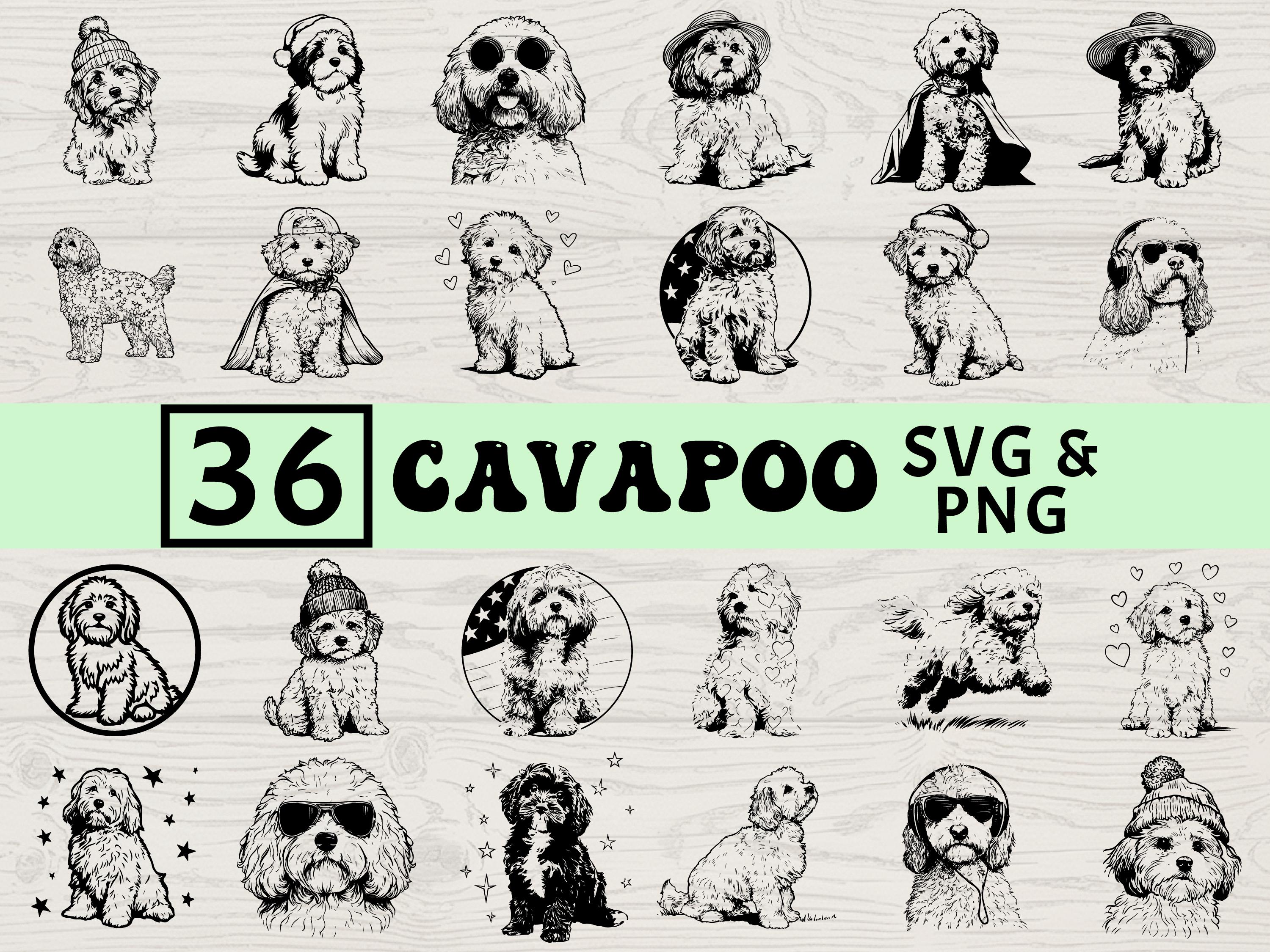 Cavapoo Silhouette SVG PNG Bundle, Puppy Clipart (digital Files) - Etsy