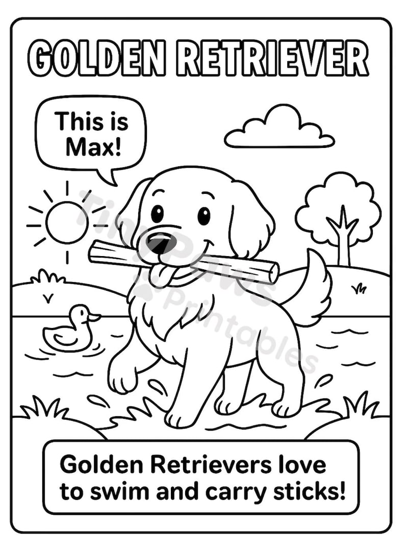Learn Dog Breeds Coloring Pages for Kids Ages 4–8 – Printable PDF - Etsy