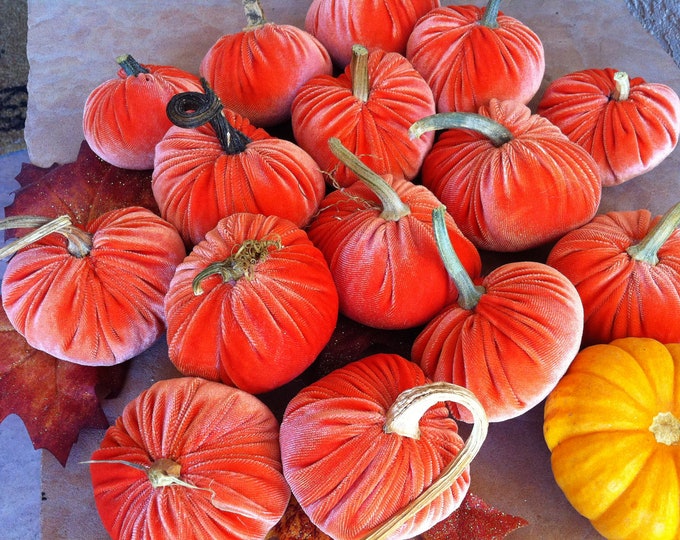 Small Velvet Pumpkin With Real Dried Pumpkin Stem 31 - Etsy