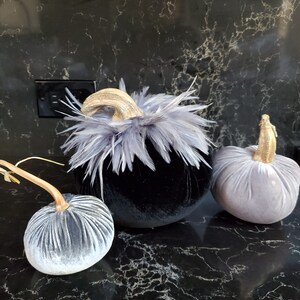 One Feather and 2 Silk Velvet Pumpkins With Real Stems 2006 - Etsy