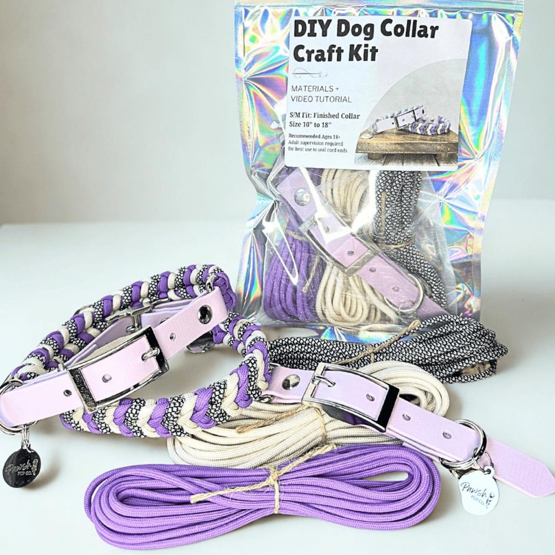 DIY Dog Collar Craft Kit & Video Instructions - Customize Your Colors ...