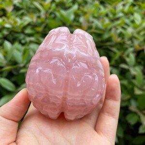 Crystal Human Brain Carving, Hand Carved Brains Aventurine Rose Quartz ...