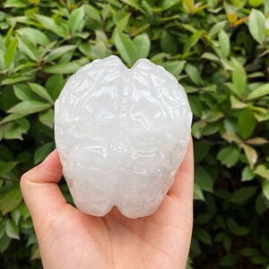 Crystal Human Brain Carving, Hand Carved Brains Aventurine Rose Quartz ...