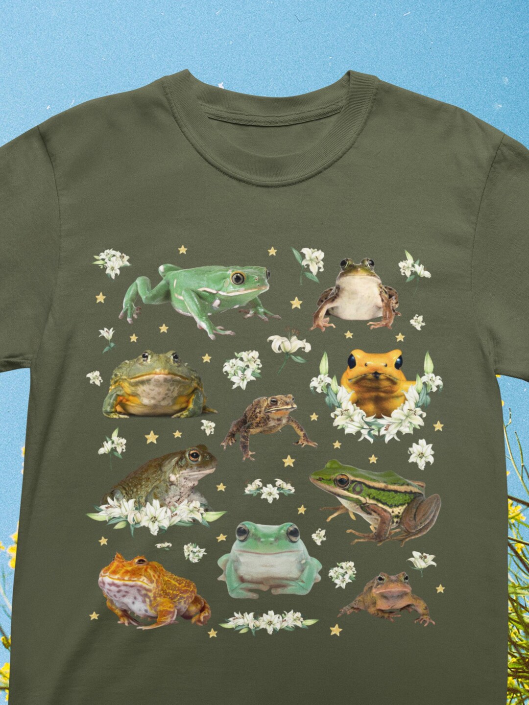 Weirdcore Frog Tee Shirt With Stars, Cute Floral Dreamcore T-shirt ...
