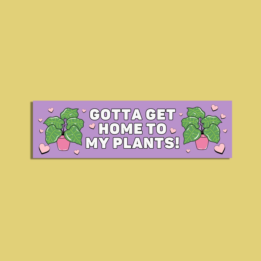 Cute Plant Bumper Sticker for New Driver: Gotta Get Home to My Plants ...