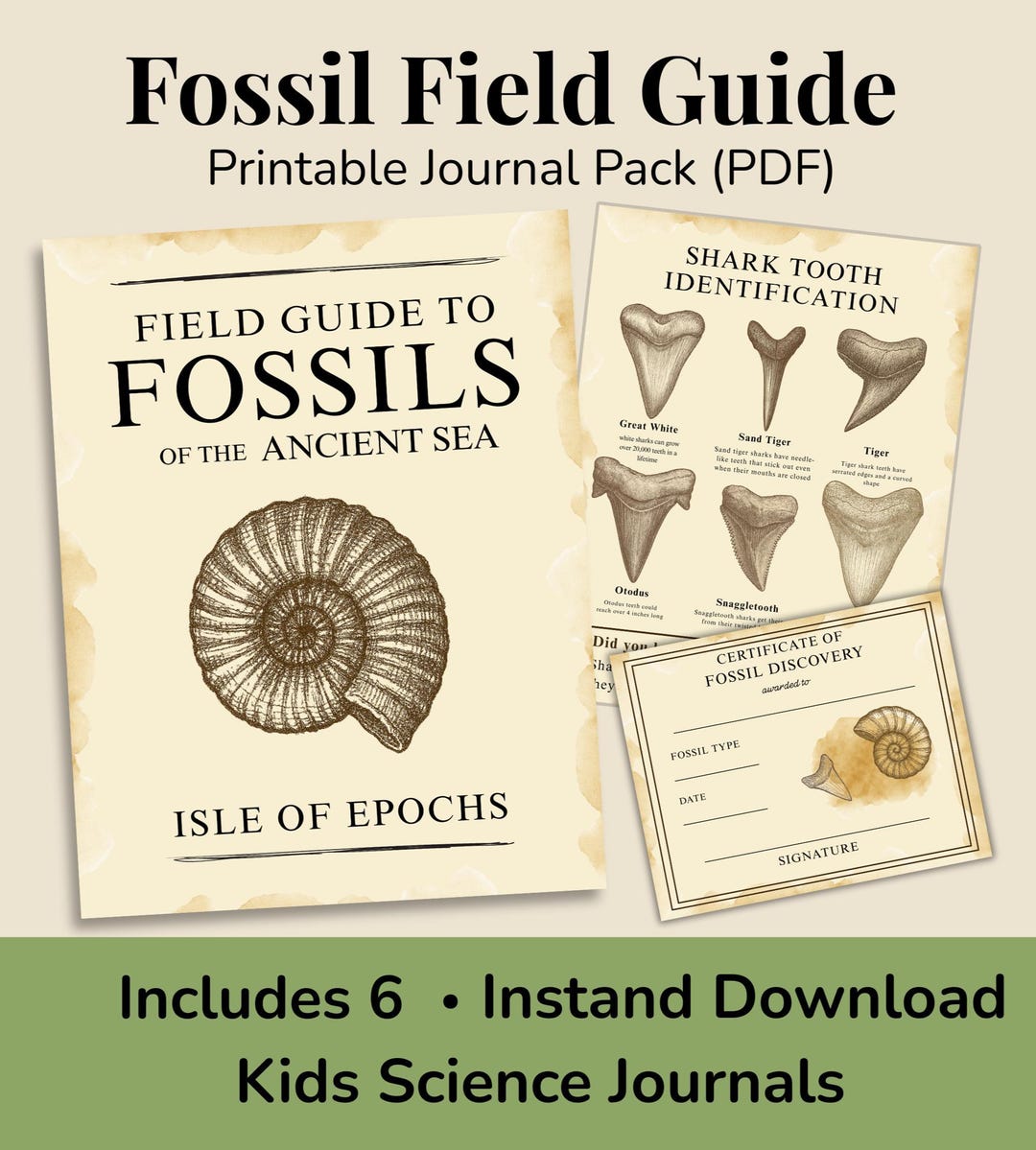 Kids Fossil Field Guide: Nature Journal, Shark Tooth ID (PDF Booklet ...