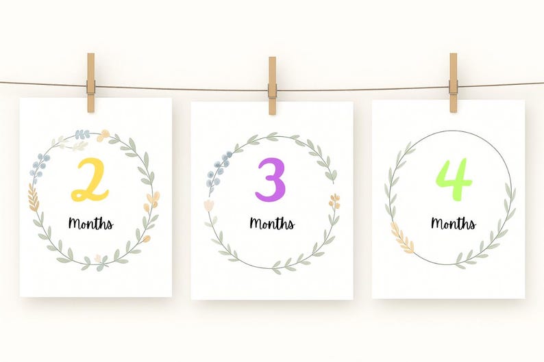 Baby Monthly Milestone Cards for First Year, 1-12 Month Photo Props ...