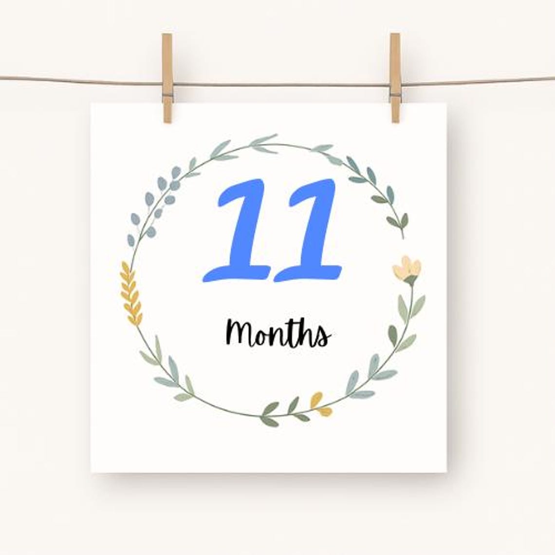 Baby Monthly Milestone Cards for First Year, 1-12 Month Photo Props ...