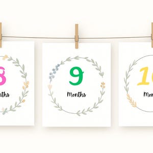 Baby Monthly Milestone Cards for First Year, 1-12 Month Photo Props ...
