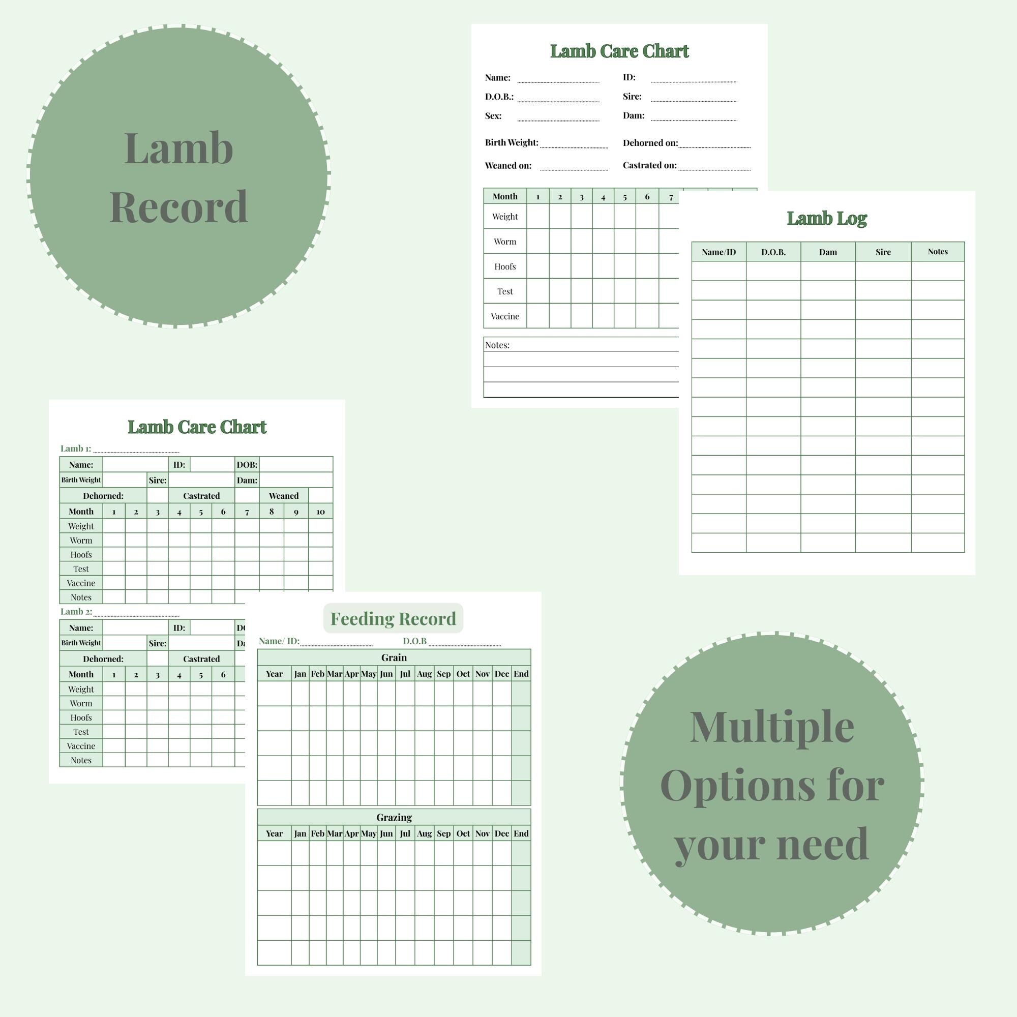 Sheep Record Keeping Log Book, Milk, Lambing, Wool (PDF Printable) - Etsy