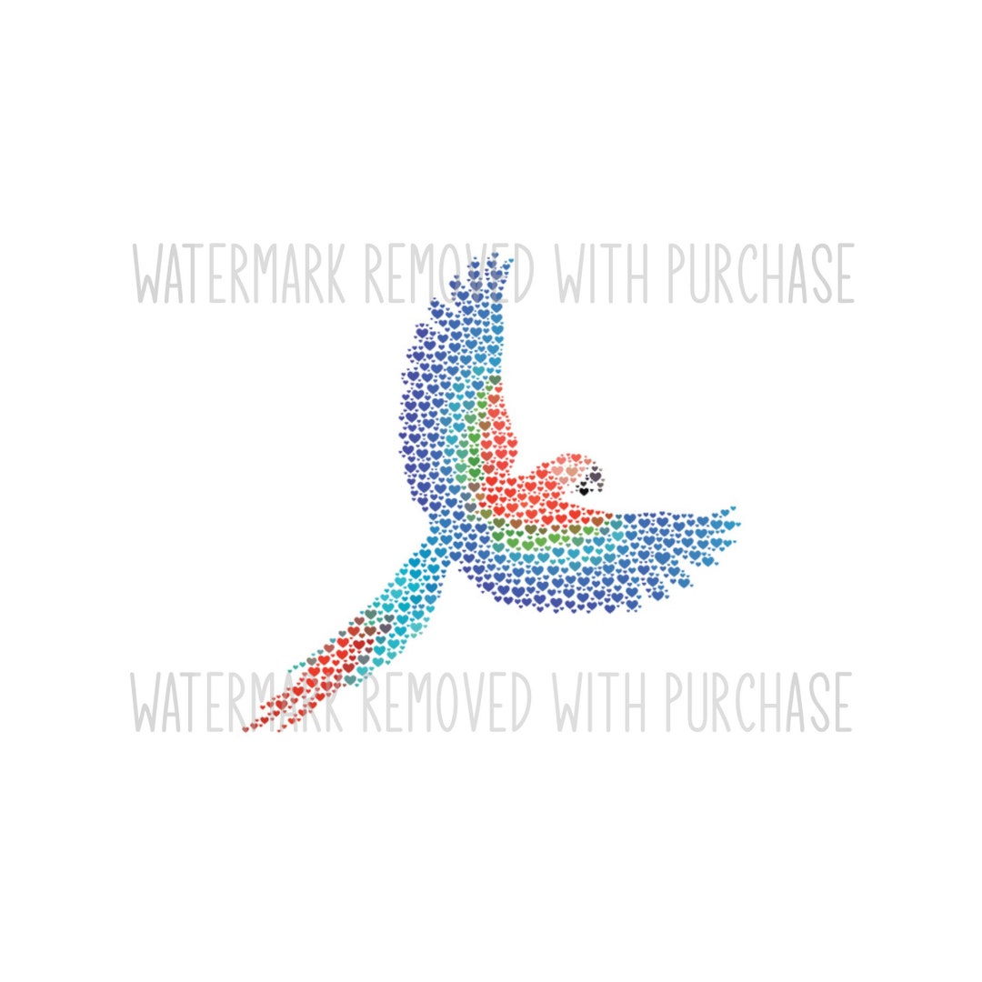 INSTANT Digital Download - PARROT Bird - Svg Pdf Png Jpg - Makes Great ...
