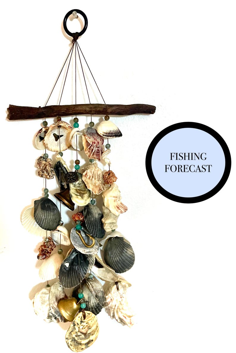 Handcrafted Shell Nautical Fishing Wind Chime: Shark Teeth & Anchor ...