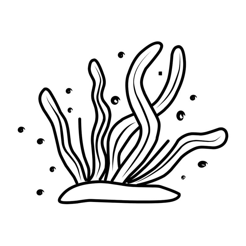 Coral & Seaweed SVG Bundle: Clipart, Cut Files (digital Download) - Etsy