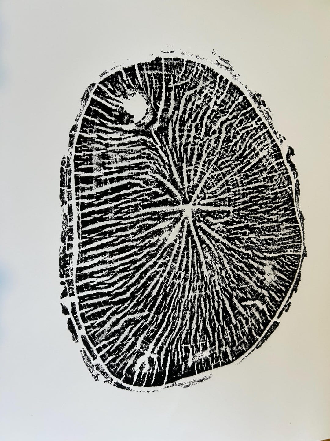 Reproduction Wood Grain Print "front Yard Maple #2" - Etsy