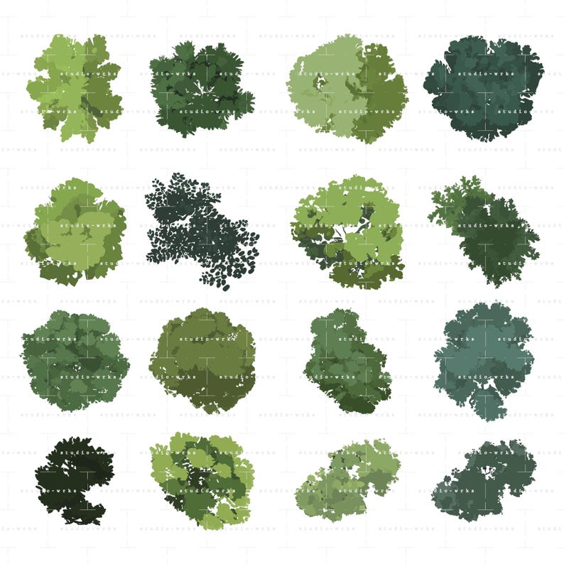 Architectural Tree Top View Vector Pack - 16 Stylised Trees for Plans ...