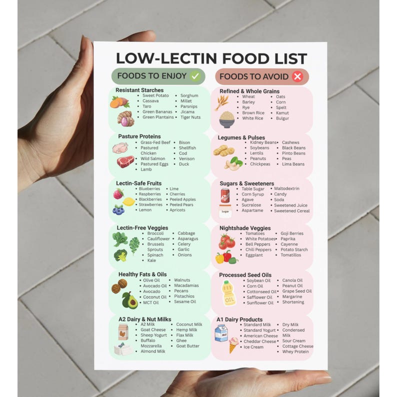 Low Lectin Food List | Printable PDF for Gut Health | Lectin-free Diet ...