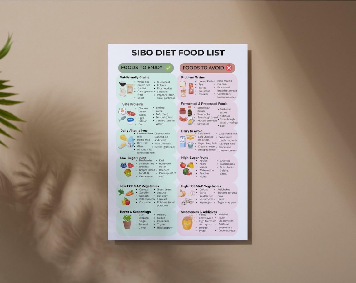 SIBO Diet Food List | Printable Low-fodmap Eat/avoid Guide | Gut Health ...