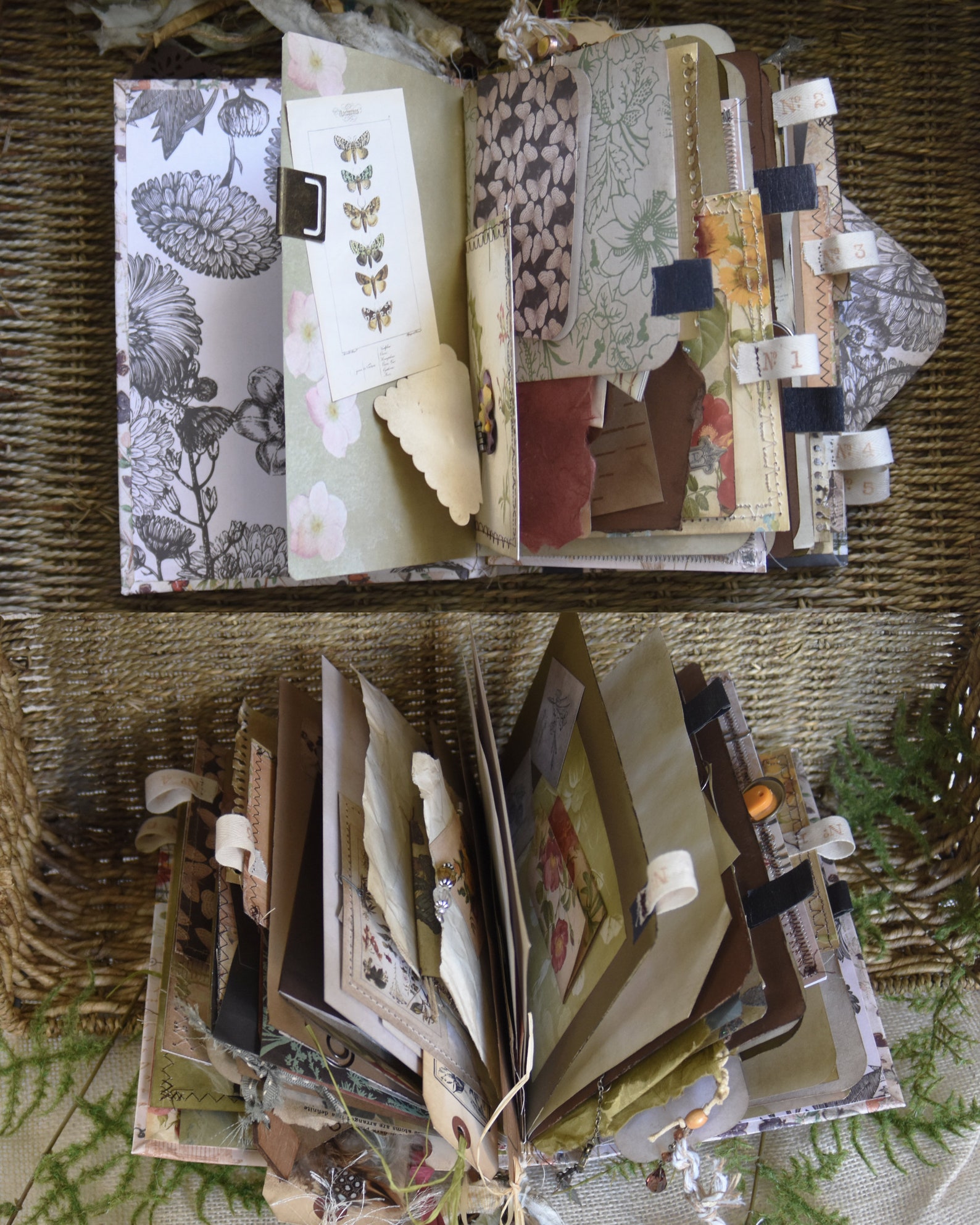 OOAK Nature Specimen field Notes Junk Journal, Insects butterfly-floral ...