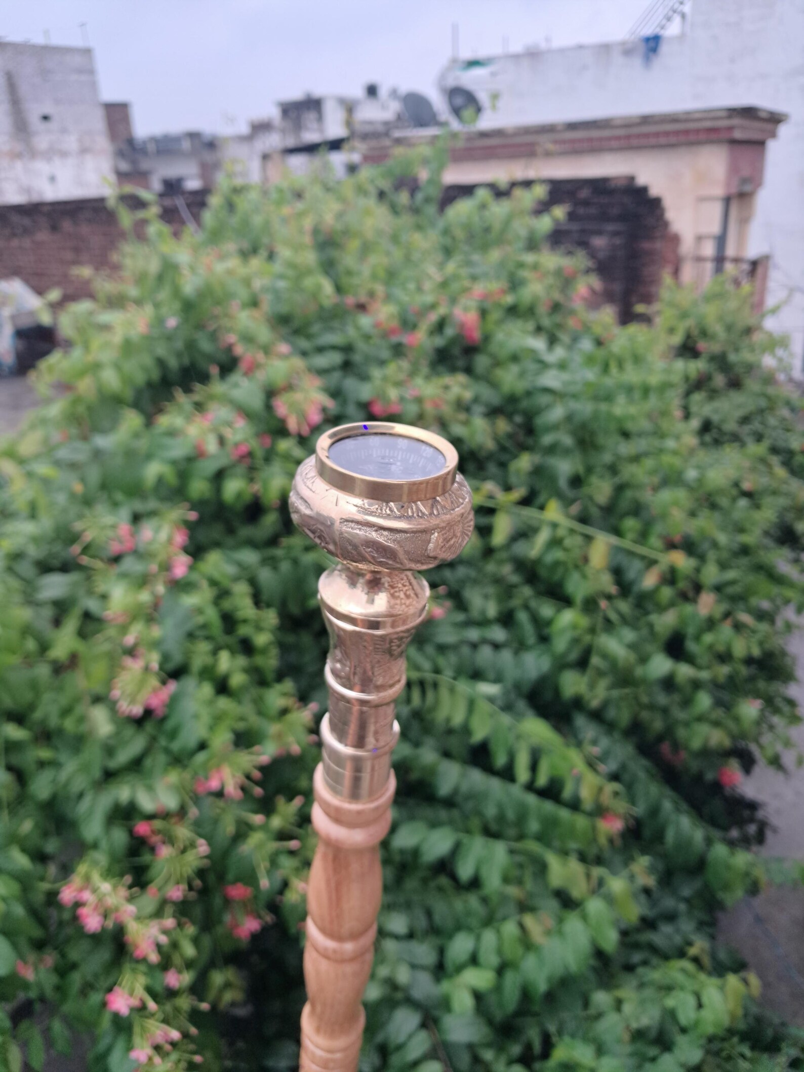 Brass Compass Wooden Walking Cane – Handmade Ash Wood Stick, Vintage ...