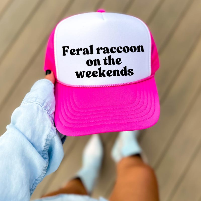 Racoon Pet Gag - Etsy