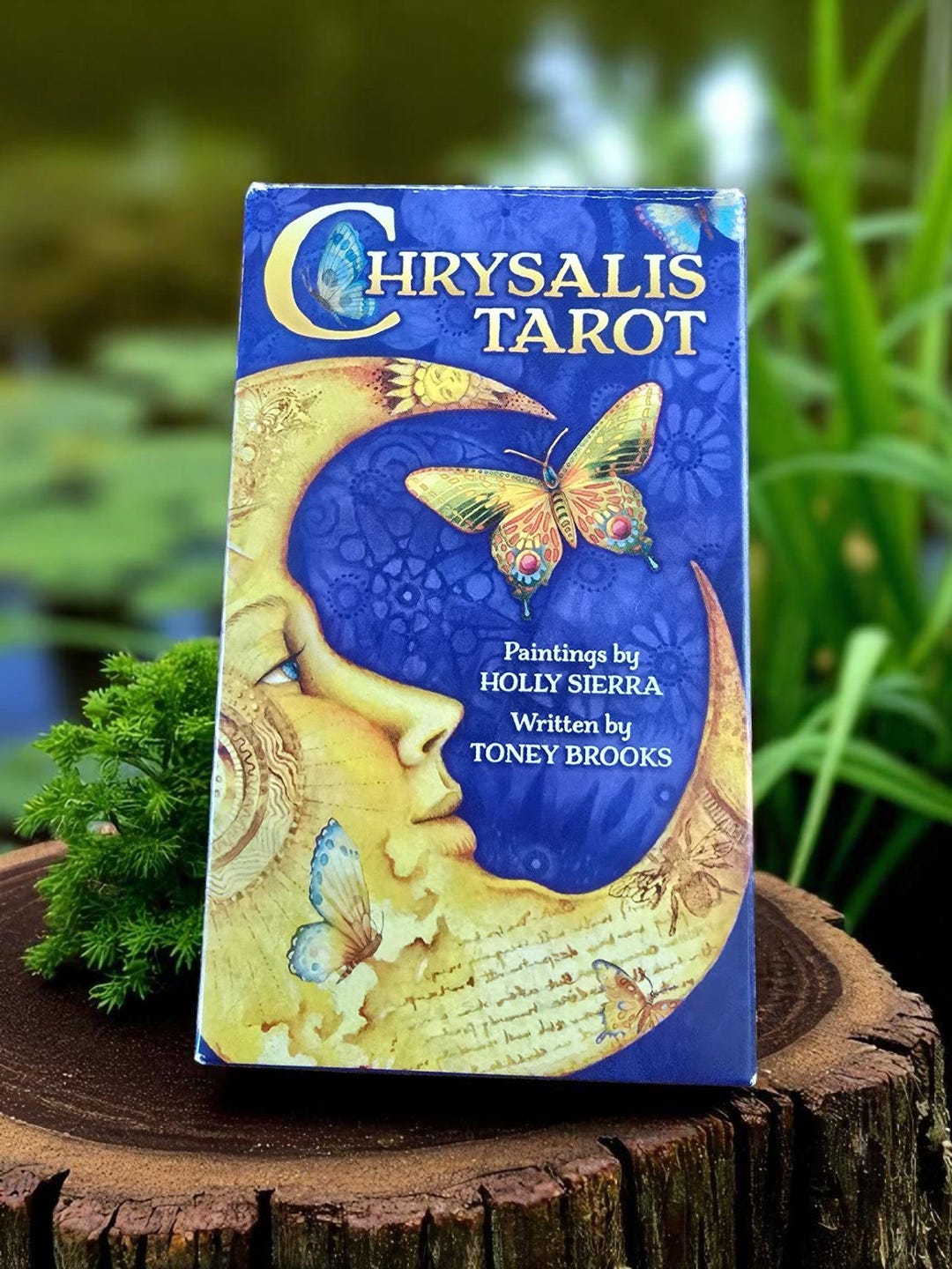 Chrysalis Tarot Card Reading, Personalized Tarot Reading, Clarity and ...