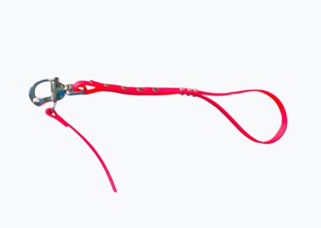 Biothane Quick Release Leash for Fast CAT Lure Coursing Dog Leash ...