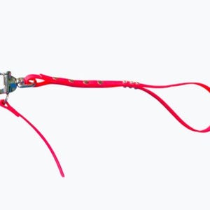 Biothane Quick Release Leash for Fast CAT Lure Coursing Dog Leash ...