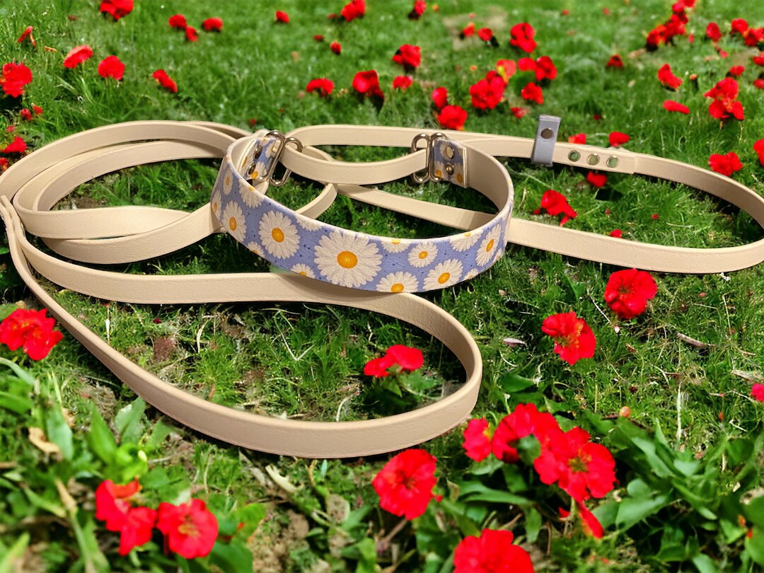 Daisy Printed Biothane Martingale Collar and Leash Combo - Etsy