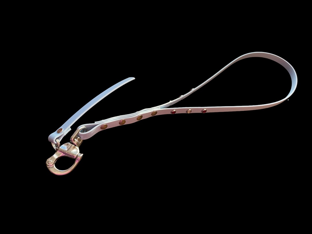 Quick Release Fast Cat Leash Light Blue Biothane With Bling and ...