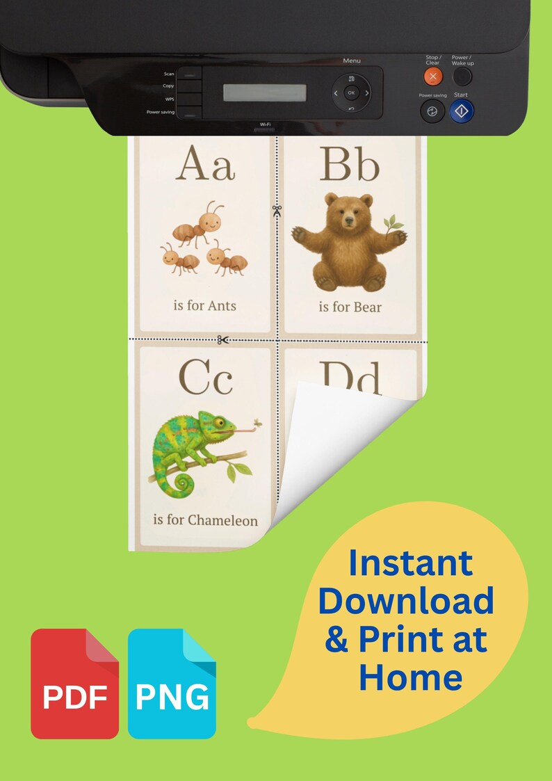 Animal ABC Flash Cards A–Z – Printable Alphabet Cards for Kids ...