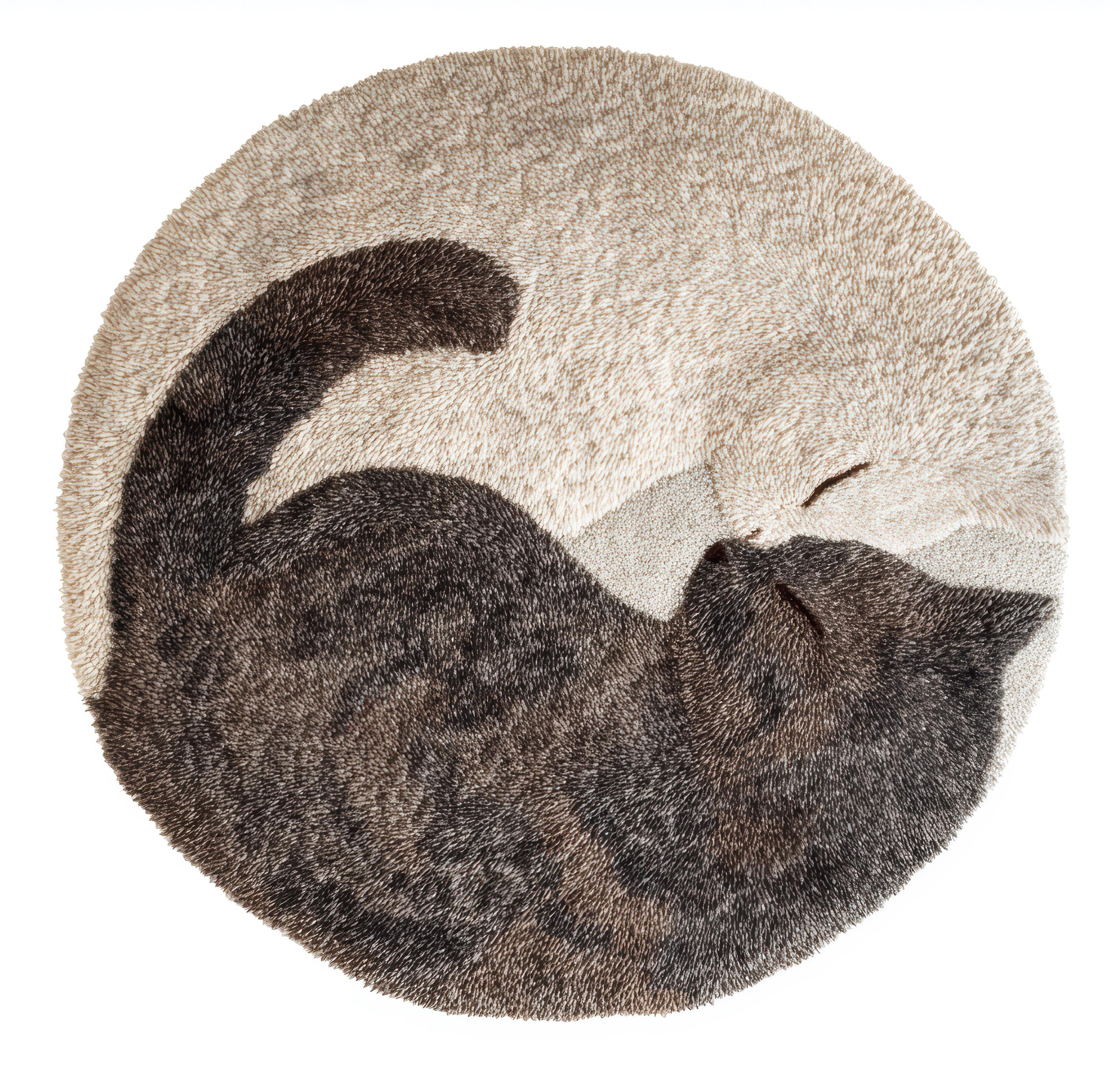 Hand Made Round Black White Cat Yin Yang Rug – Woolen Carpet, Pet ...