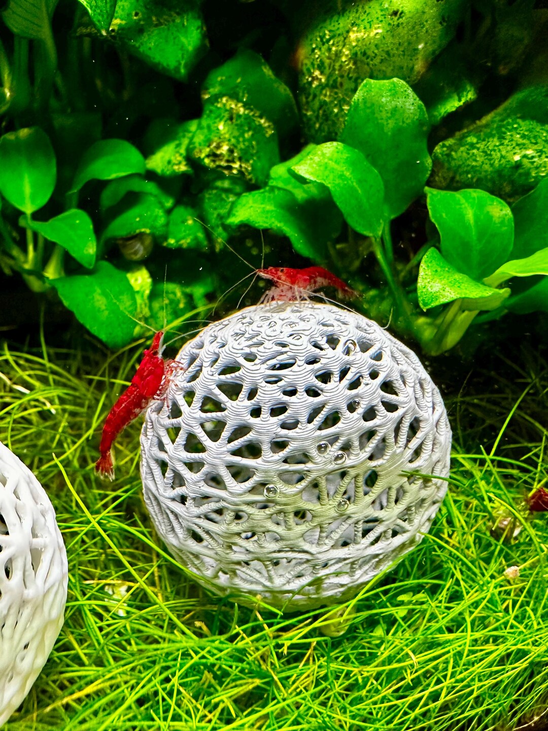 Aquarium Decor Ball With Voronoi Pattern | Moss Holder for Aquascaping ...