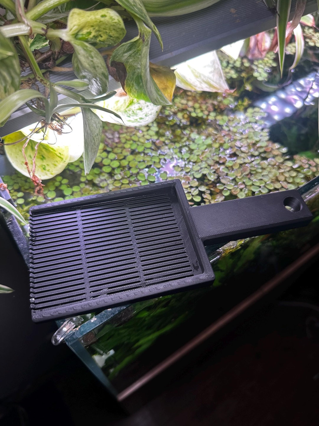 Aquarium Duckweed Skimmer Scoop | Floating Plant Remover for Duckweed ...