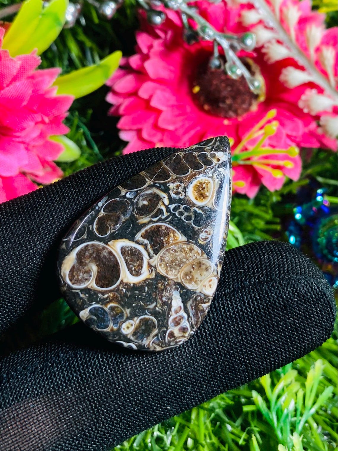 Cabujón de piedra preciosa de ágata Turritella: forma de pera, 40 ...