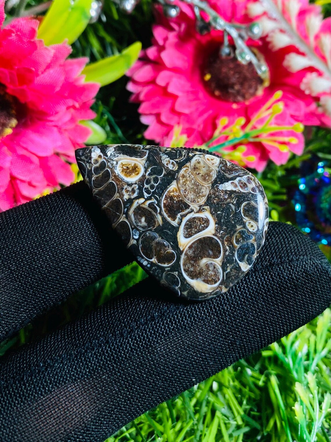 Cabujón de piedra preciosa de ágata Turritella: forma de pera, 40 ...