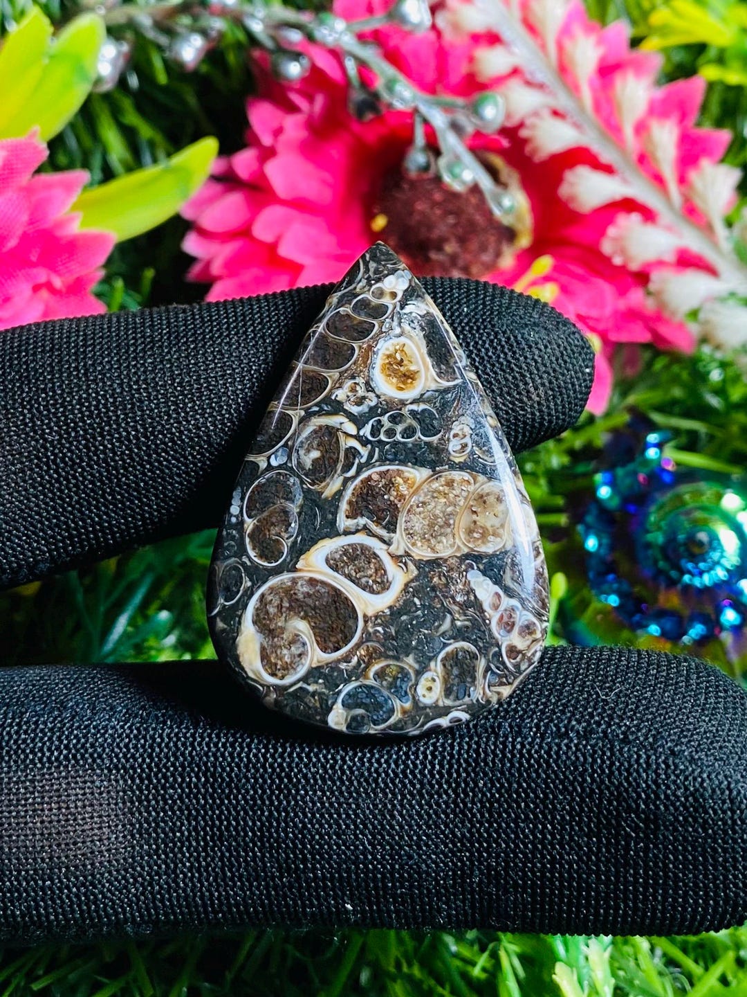 Cabujón de piedra preciosa de ágata Turritella: forma de pera, 40 ...