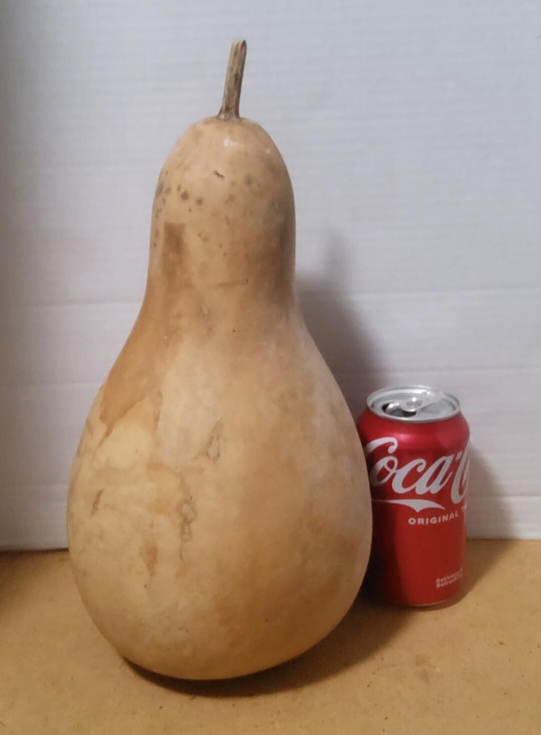 Large Dried Kettle Gourd - Etsy
