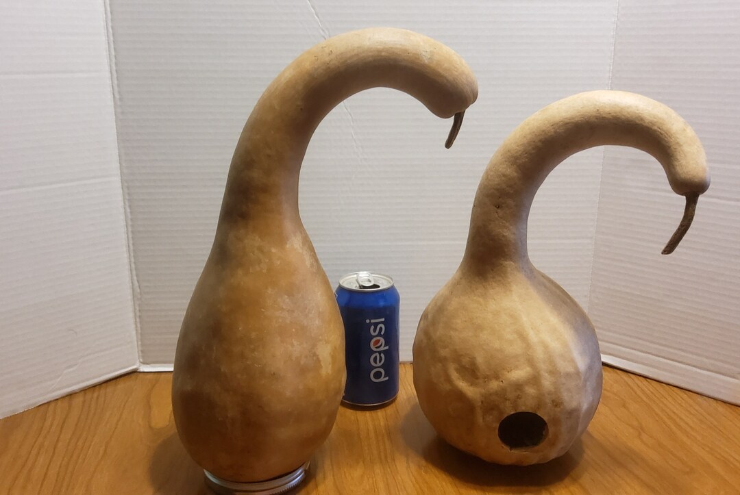 2 Dried Dipper Gourds - Etsy